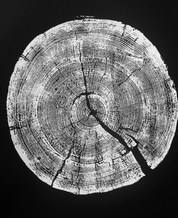 Tree Rings Black And White