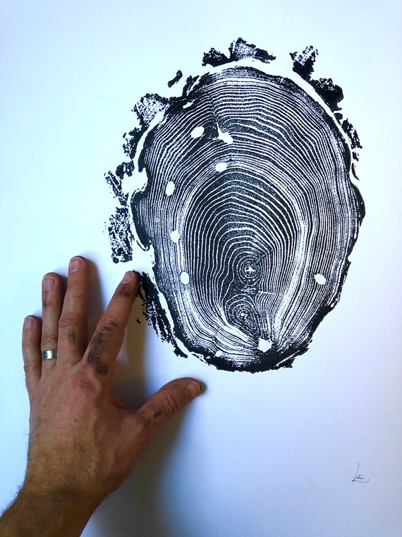 18x24 Tree Rings - LintonArt