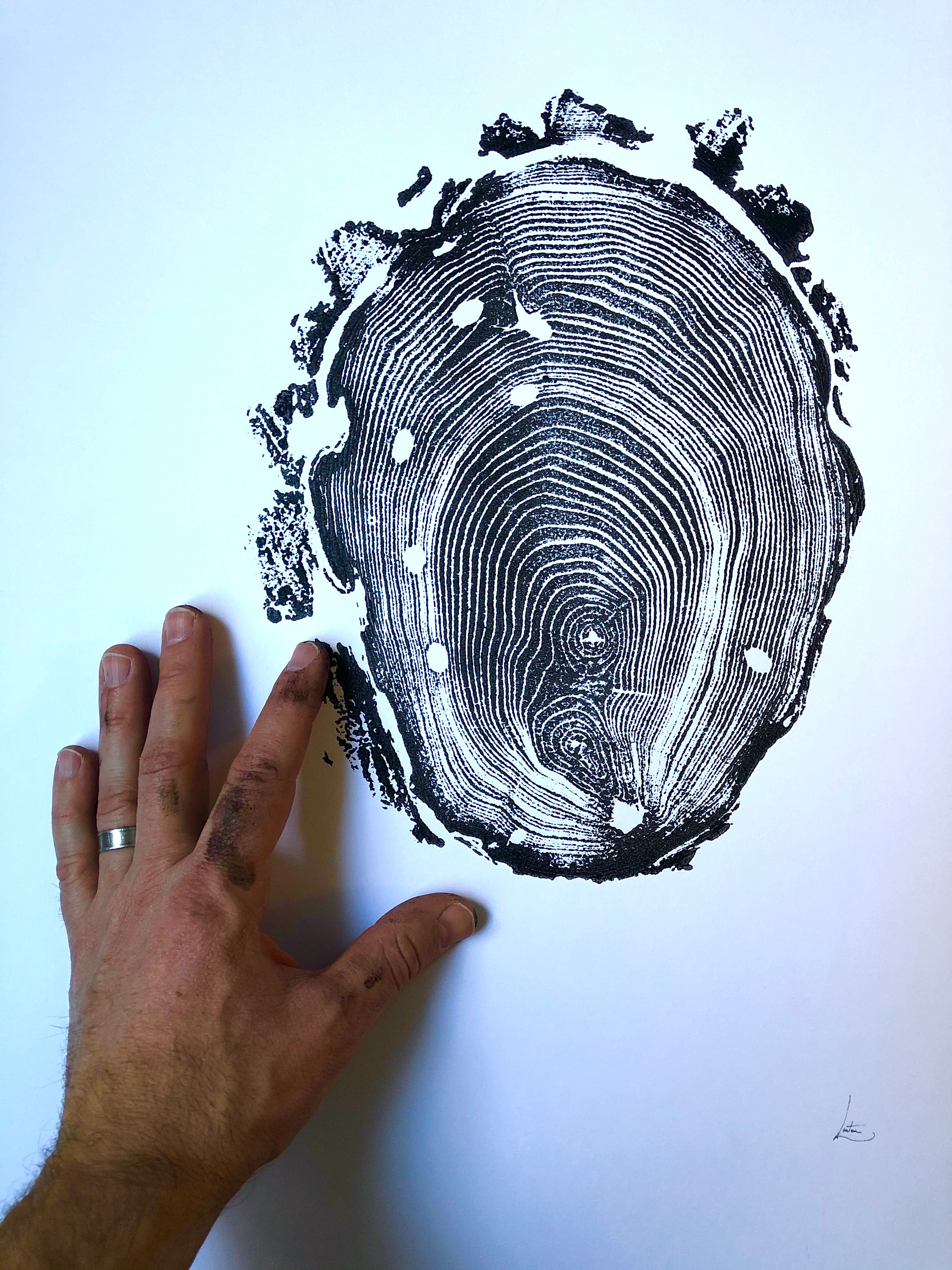 Walden Pond, Tree ring print from Massachusetts, Locust tree, Woodcut ...