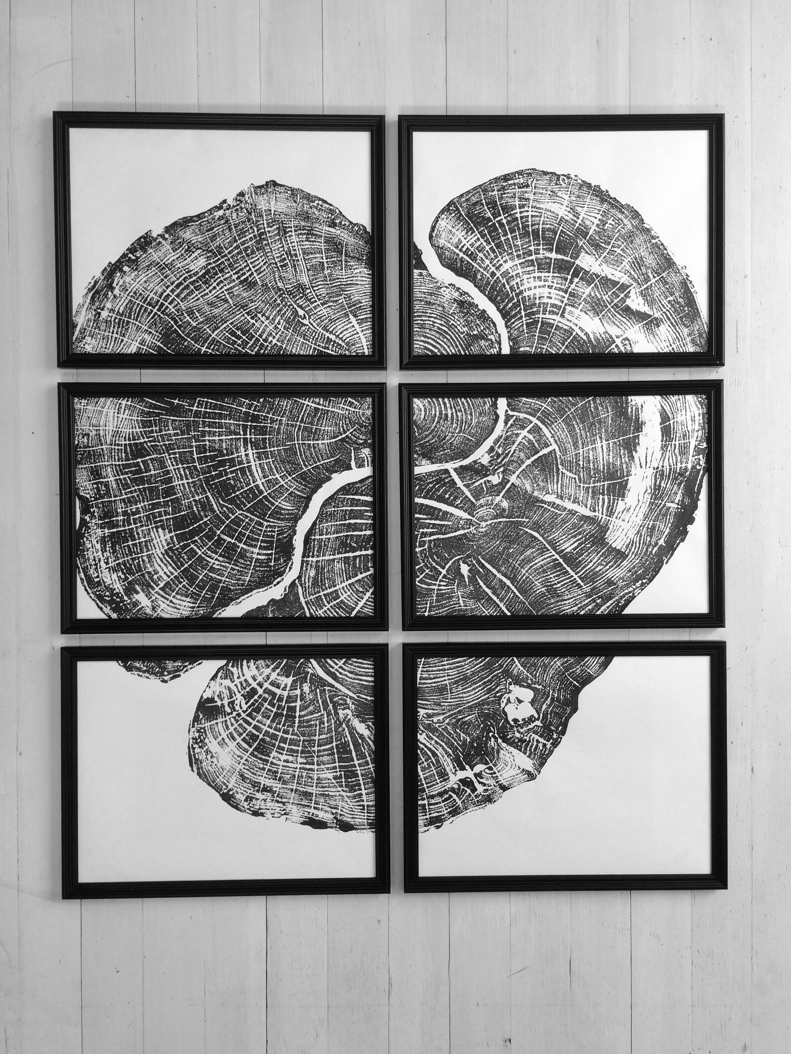 Set of Six, Pennsylvania Wall Art, Maple Tree, Sugar Maple, Tree Ring ...