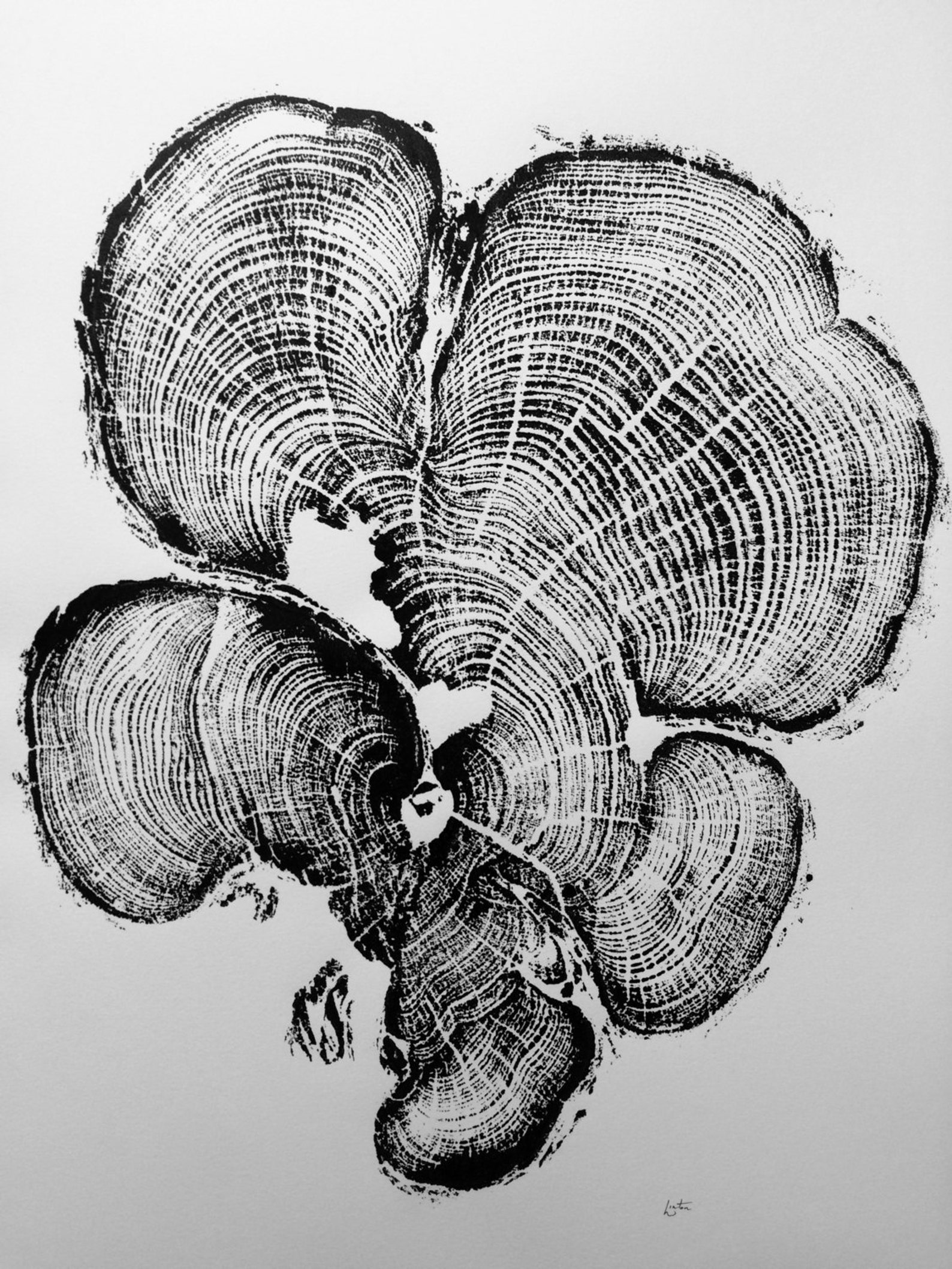 Grand Canyon Cedar, Tree Ring Print, Woodcut Art, Real Tree Rings ...