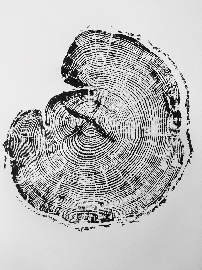 Huntsville UT Woodcut Tree Rings Print Tree Slice - Etsy