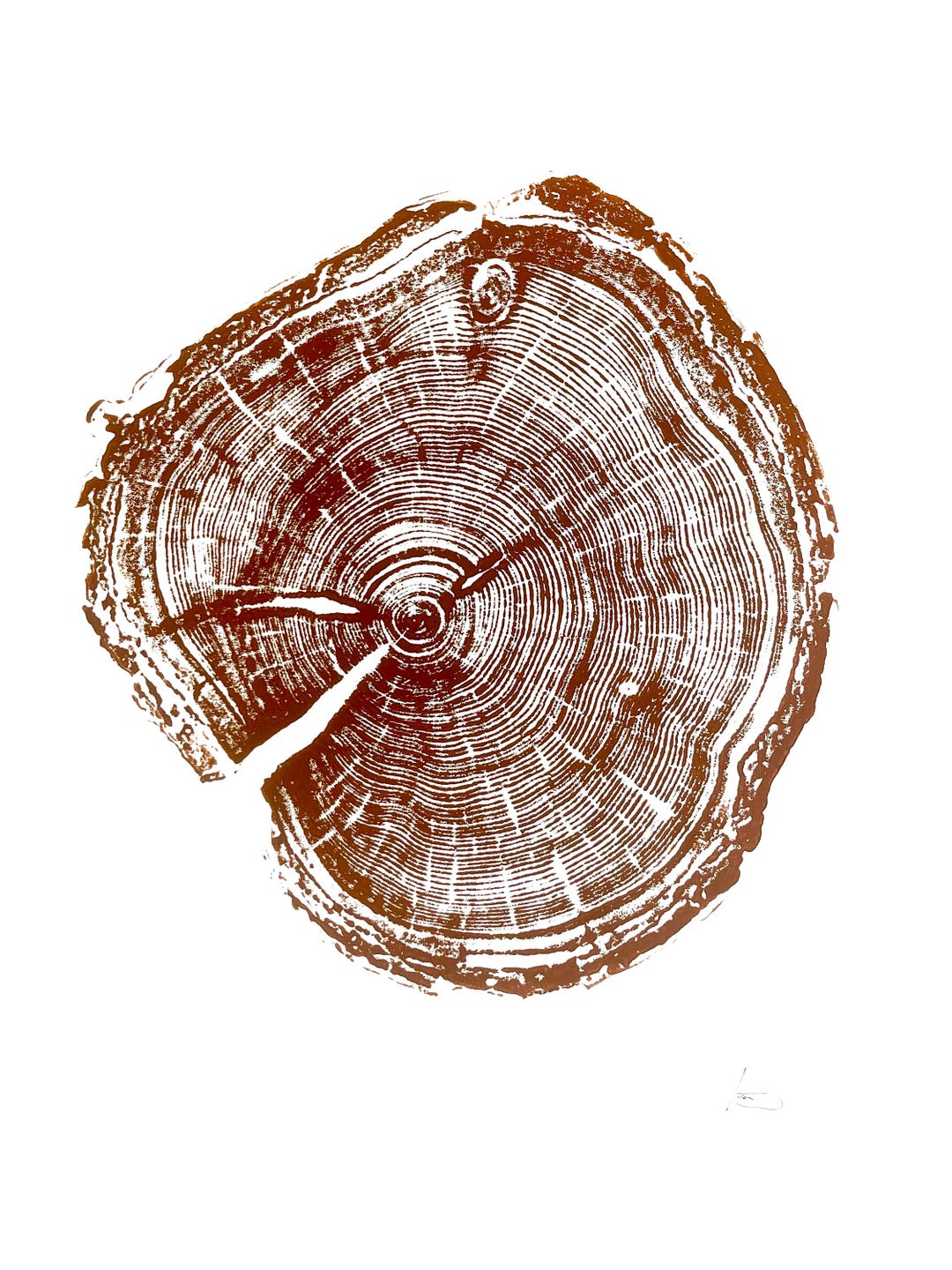 Brown Tree Ring Print, Utah Art, Tree Ring Print, Woodcut Print, Wood ...