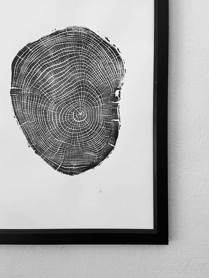 Connecticut Ash Tree Ring Print Tree Print New Haven Yale | Etsy