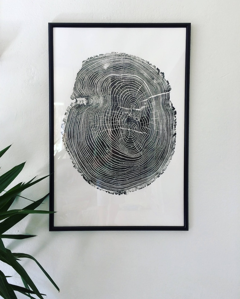 Ohio State Ash Tree Tree Ring Print Woodcut Print Lumber - Etsy