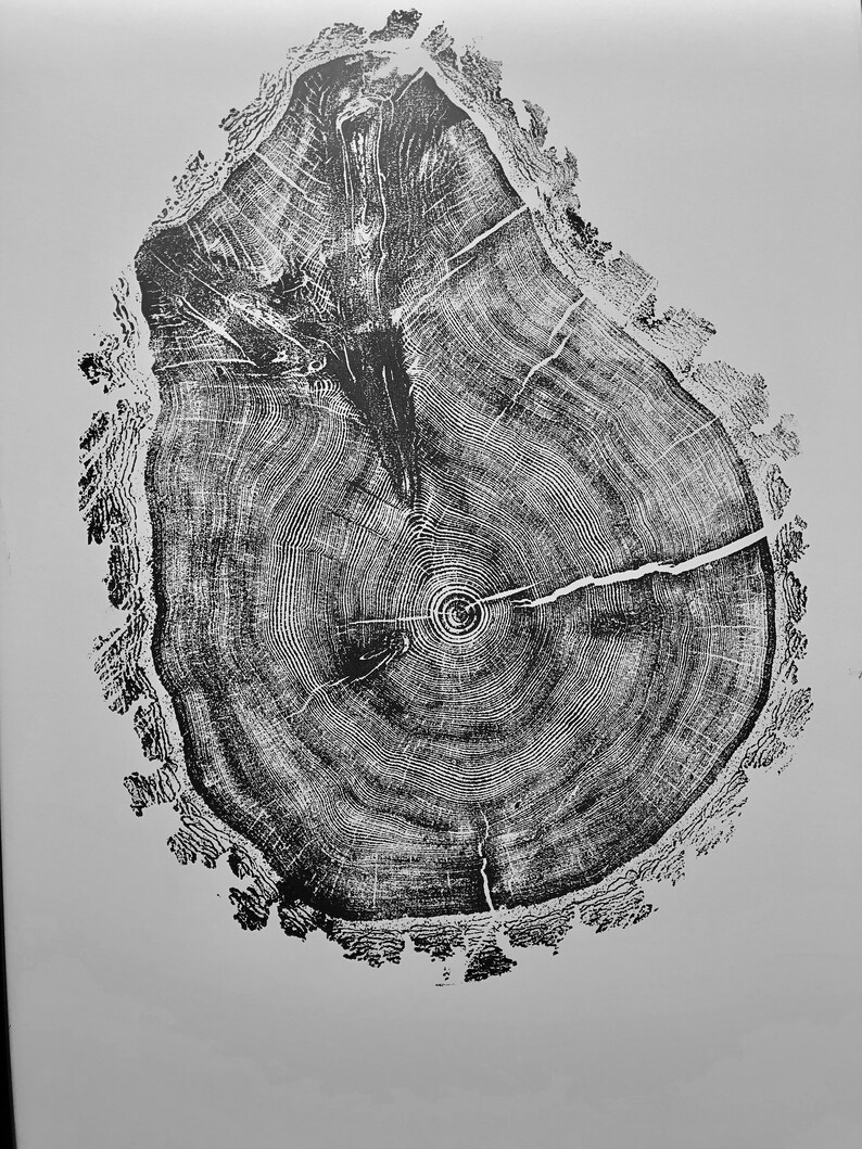 Tree Stump Art Prints, Set of Four Large 24x36 Inch Tree Ring Prints ...
