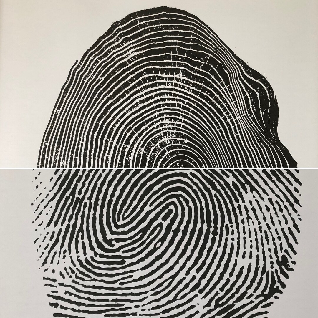 Customizable Fingerprint Tree Ring Art, Fingerprint Art, Tree Ring ...