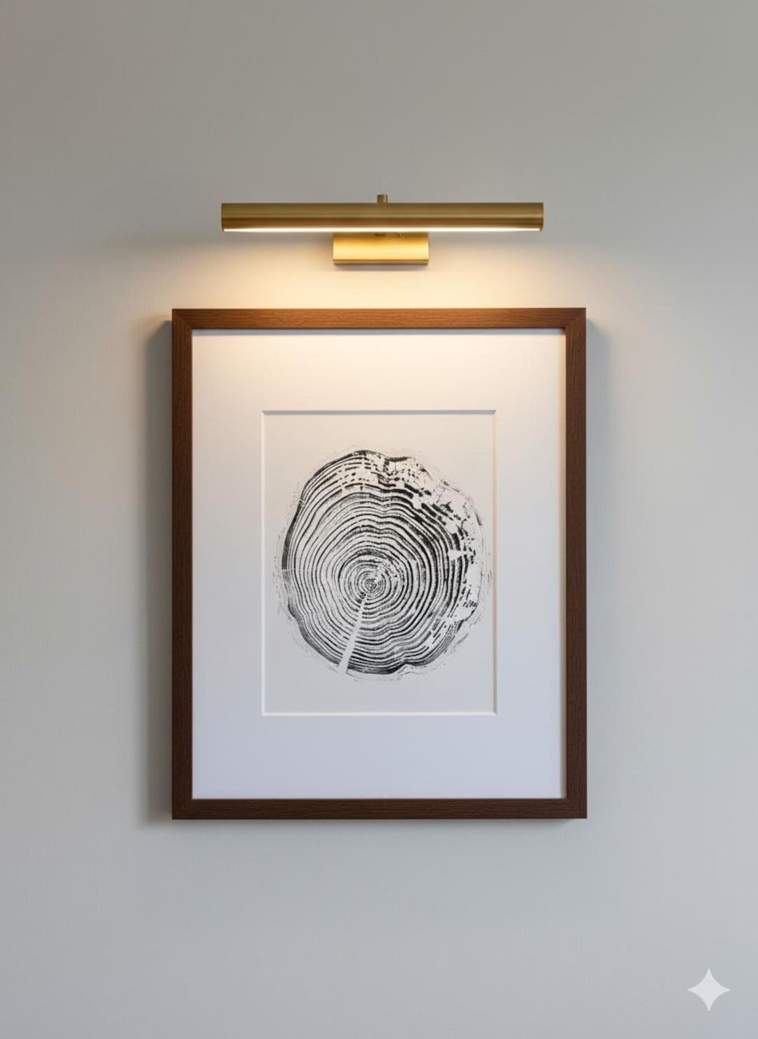 California Redwood, 30 Years, 18x24 Inch Print, San Francisco Art, Tree ...