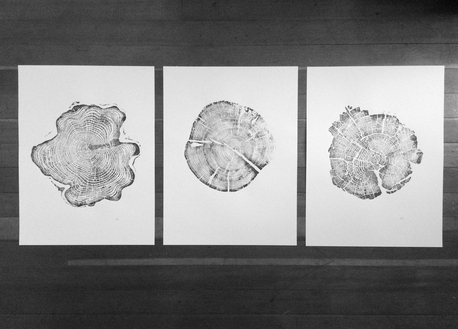 Triptych Tree Ring Art, Tree ring art prints from Alaska, Tetons ...