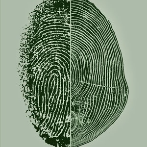 Personalize Your Fingerprint Tree Ring Art, Fingerprint Art, Tree Ring ...
