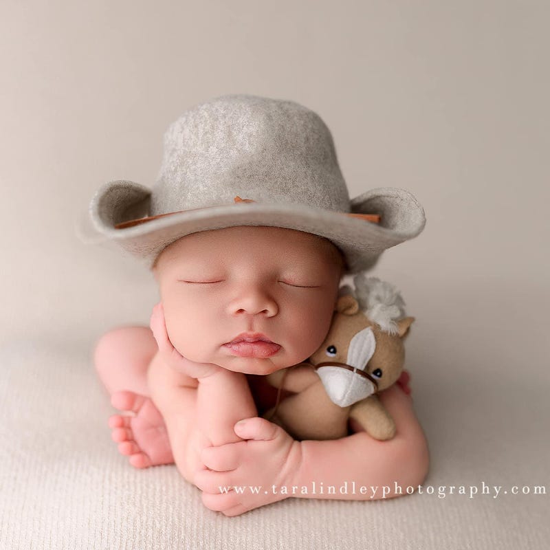 Newborn Photo Horse Prop - Etsy