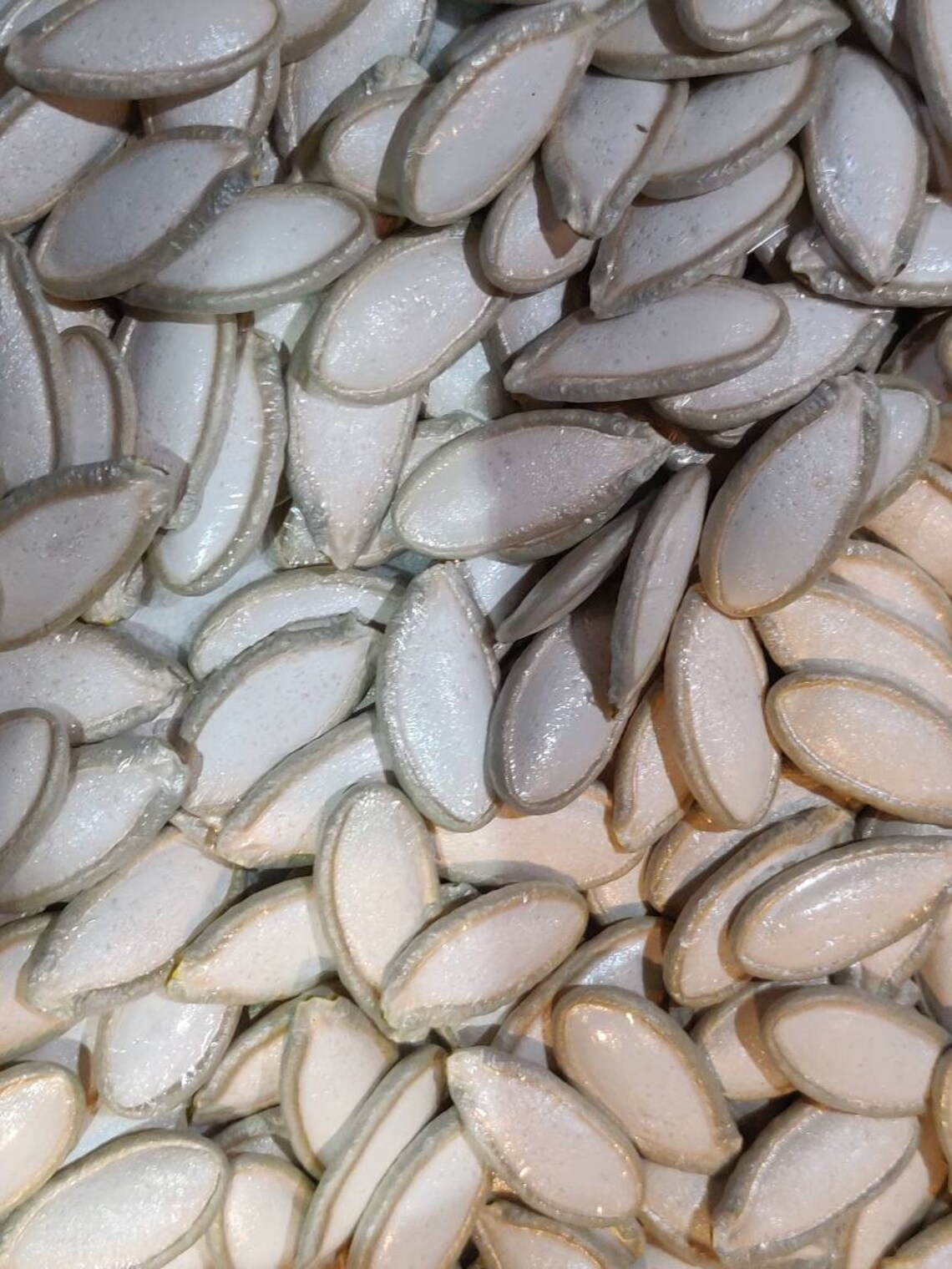 Semillas de Pipian Criollo Salvadoreño Orgánicas frescas de la | Etsy