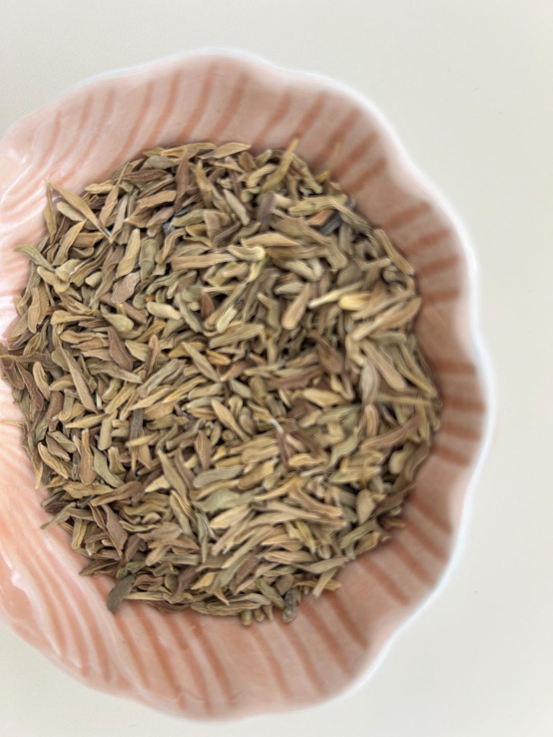 Loroco, Hierba Mora, Guava and Chipilín Seeds - Etsy