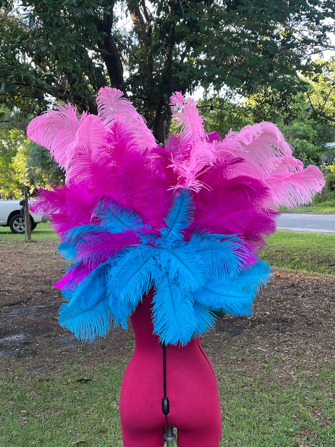 Fairy Wings Ostrich Feathers Photo Prop Cosplay Rave Party Festival ...