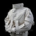 Straight Jacket Restraint "the Institution" Straitjacket - Etsy