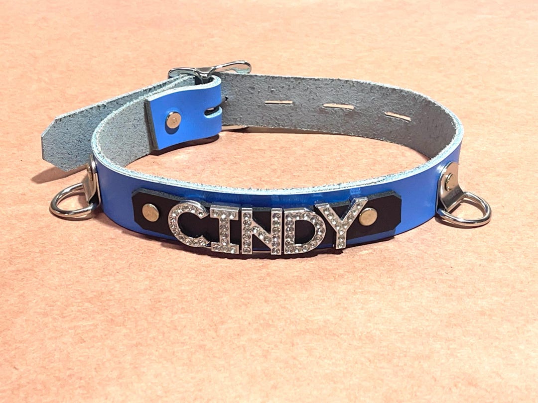 Lockable Leather Name Collar 1