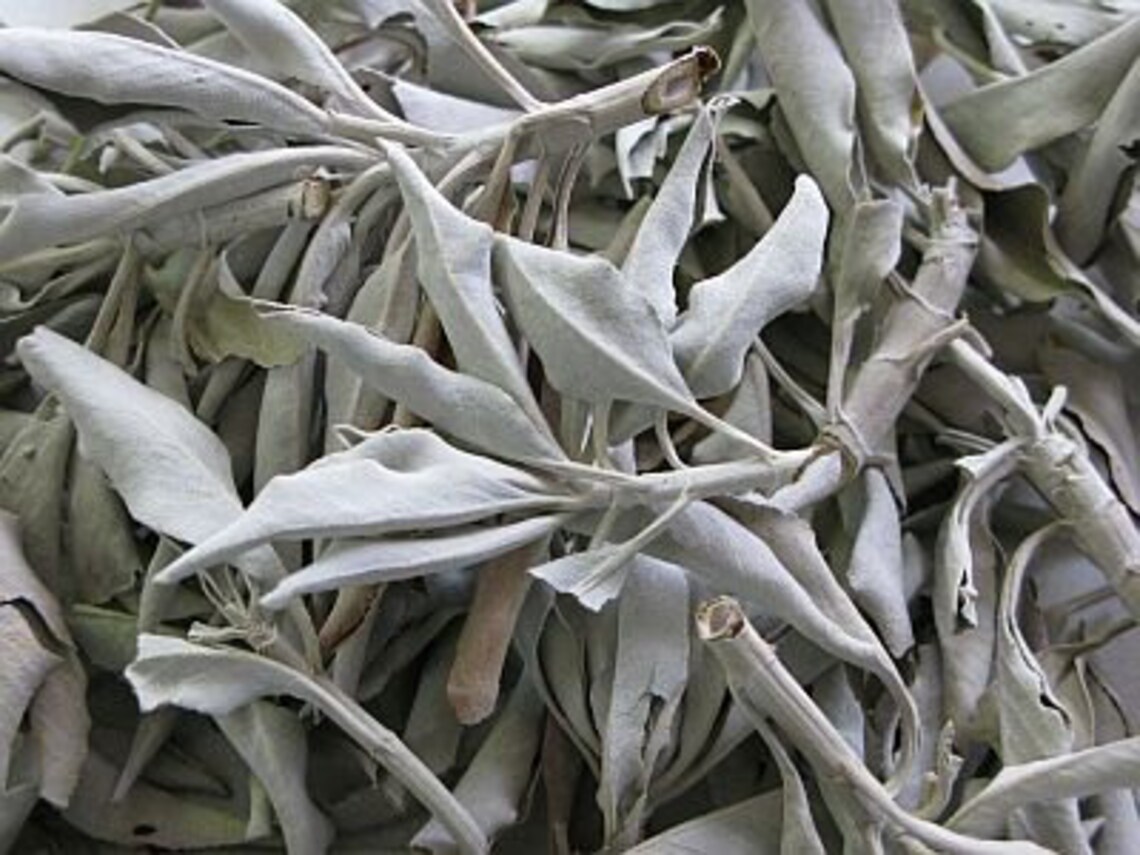 White Sage Clusters/loose Leaf (mix) - Etsy