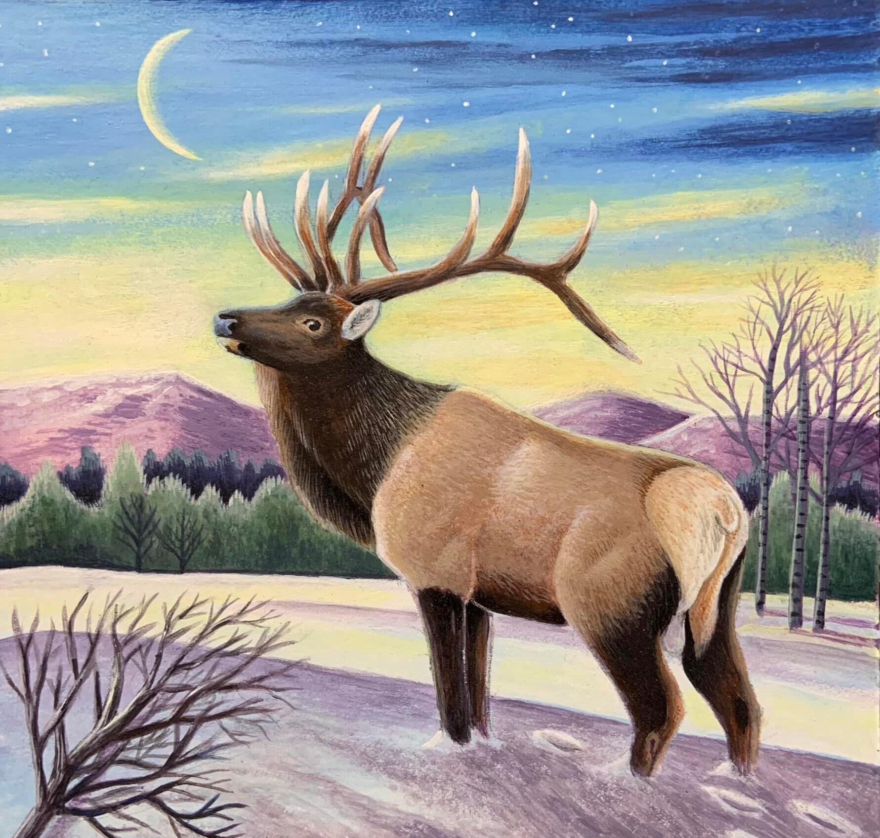 Elk Acrylic Painting
