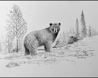 Pen and Ink Bear - Etsy