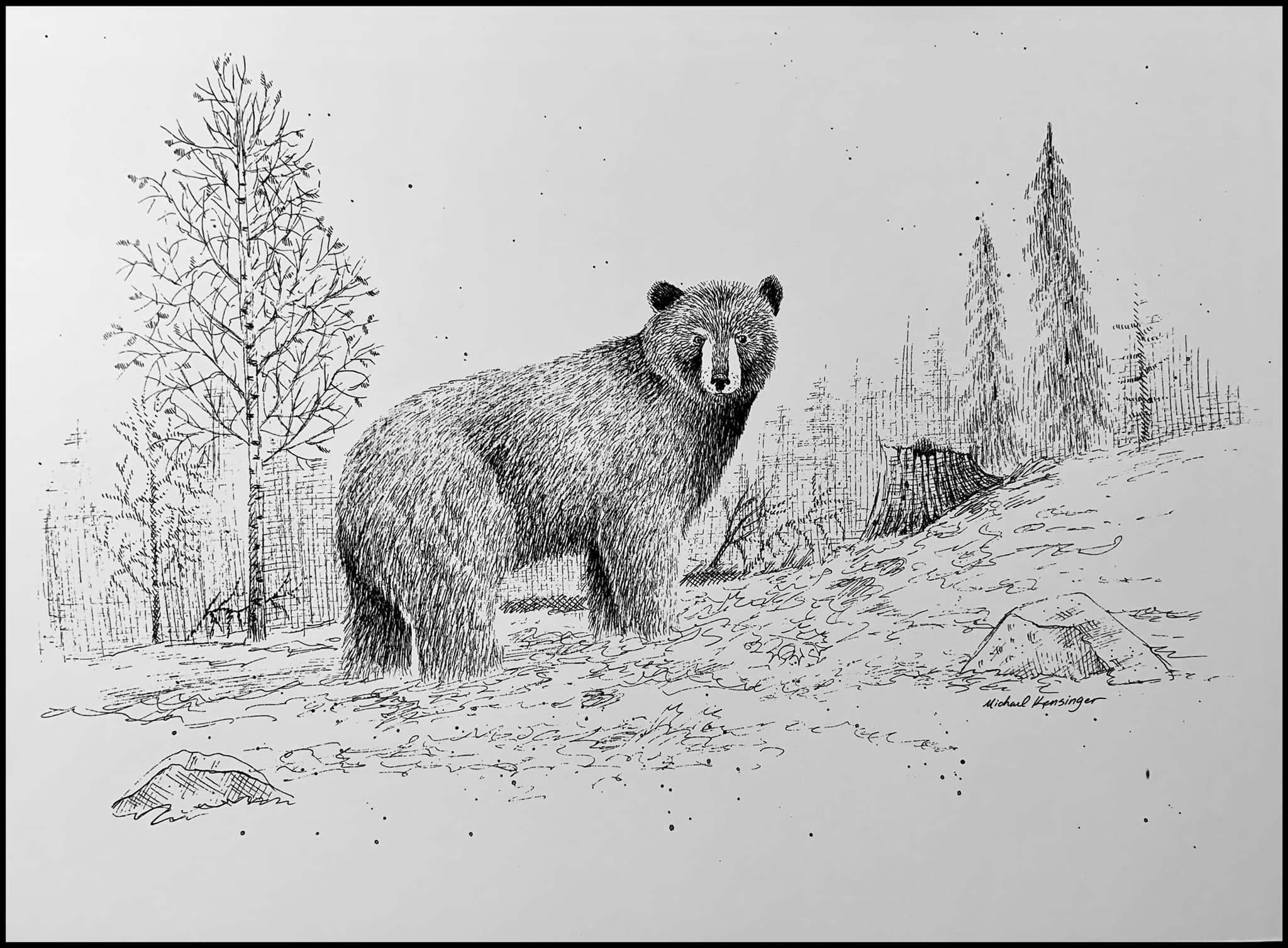 How To Draw A Black Bear Easy