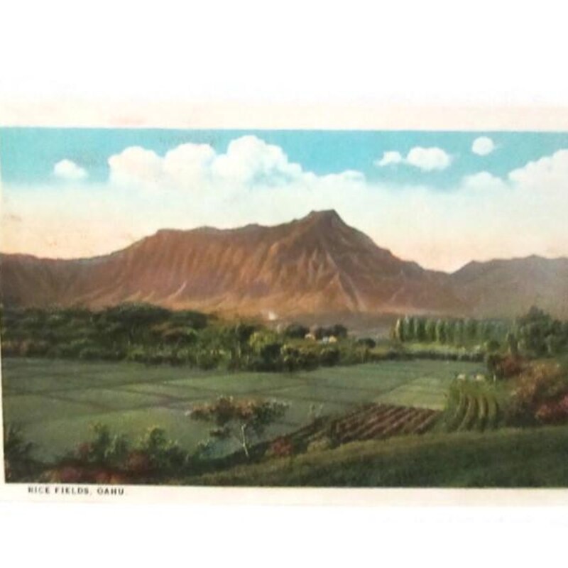 Vintage Oahu Postcard - Etsy