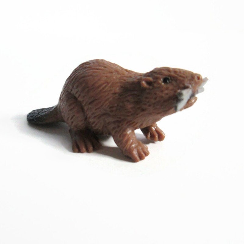 Miniature Beaver - Etsy