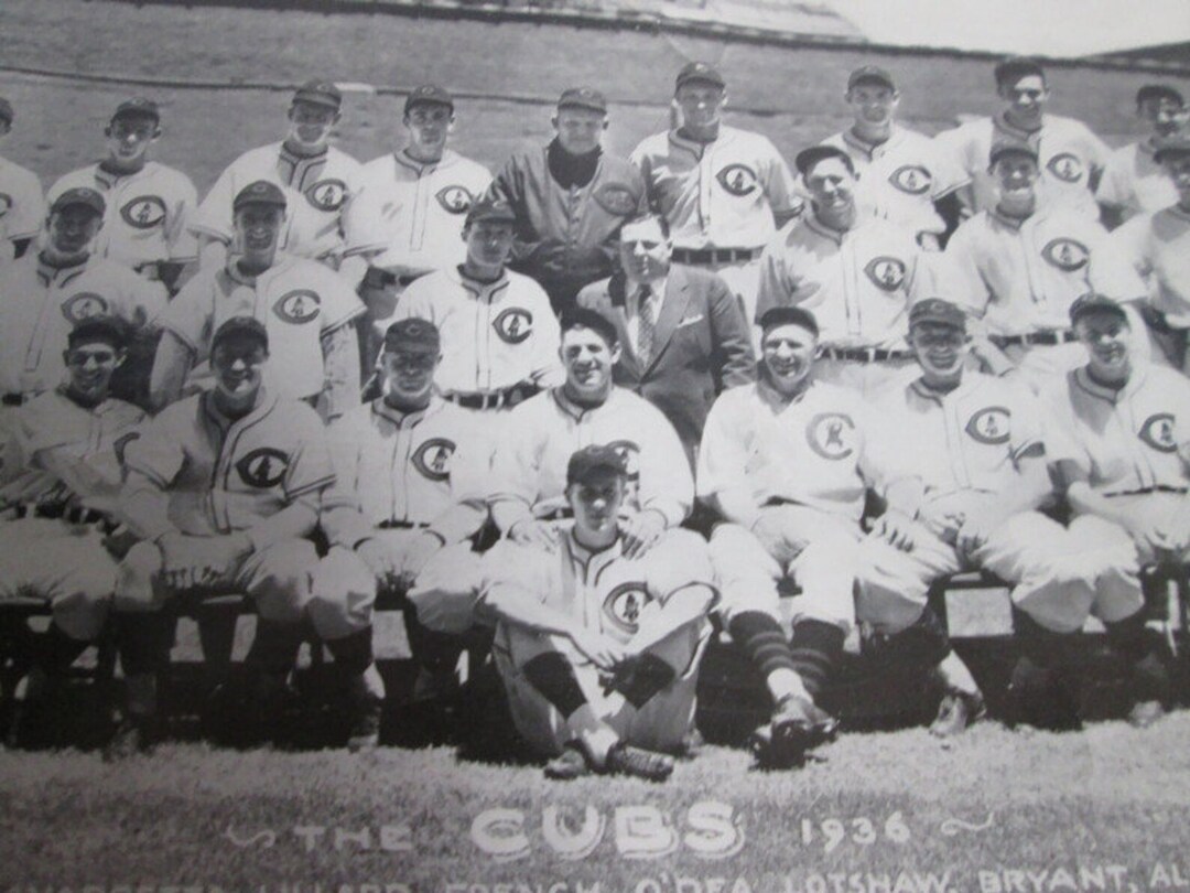 Antique Original Photograph of the 1936 Chicago Cubs Baseball Team ...