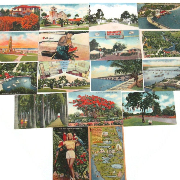 Florida Postcard - Etsy