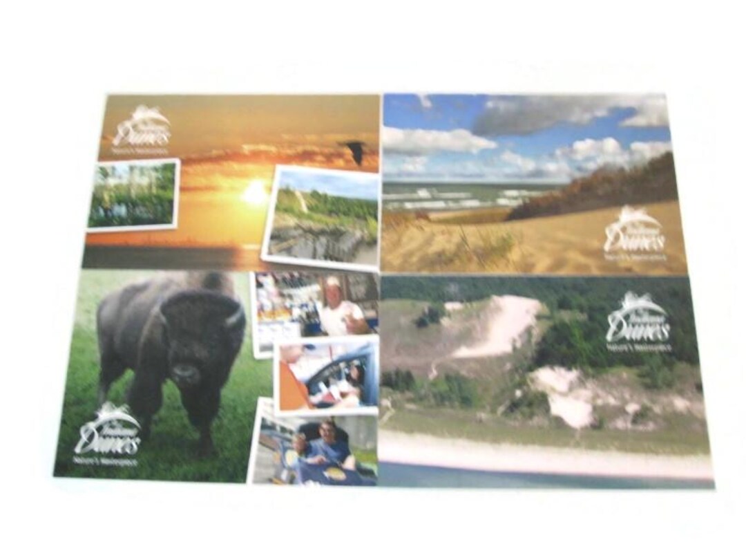 The Indiana Dunes Postcards, Nature's Masterpiece, Lake Michigan Shore ...