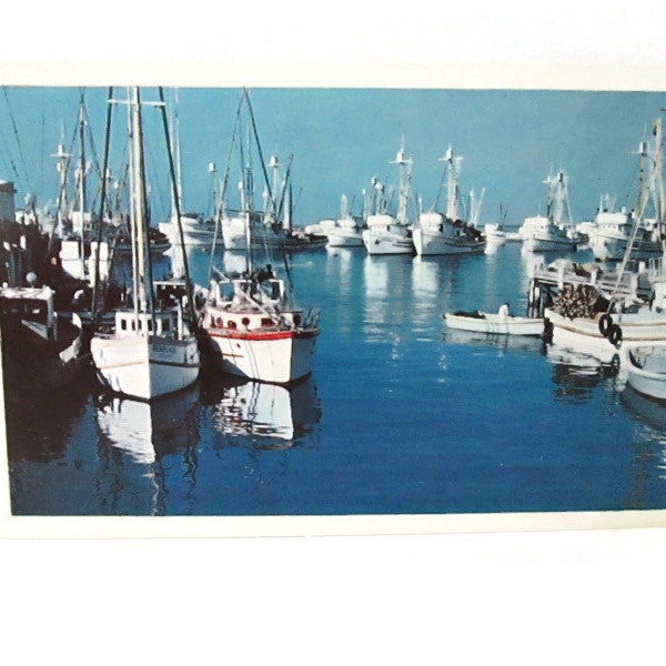 Monterey Bay - Etsy