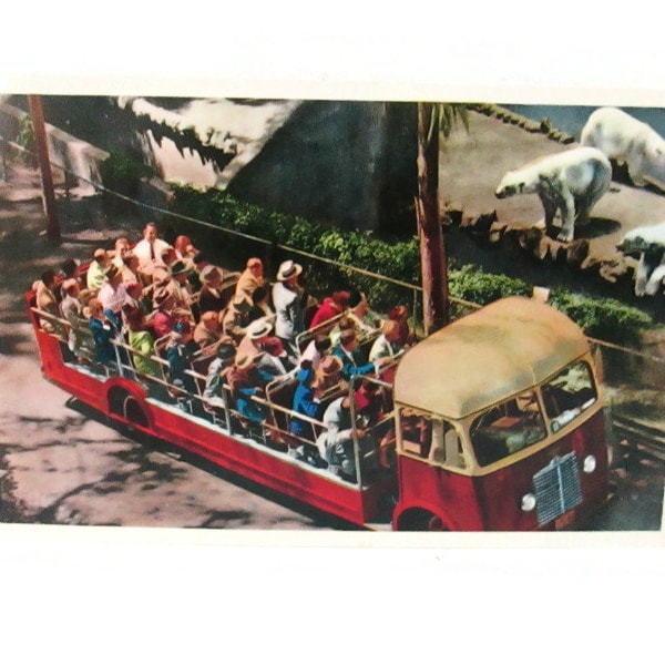 Zoo Postcard - Etsy