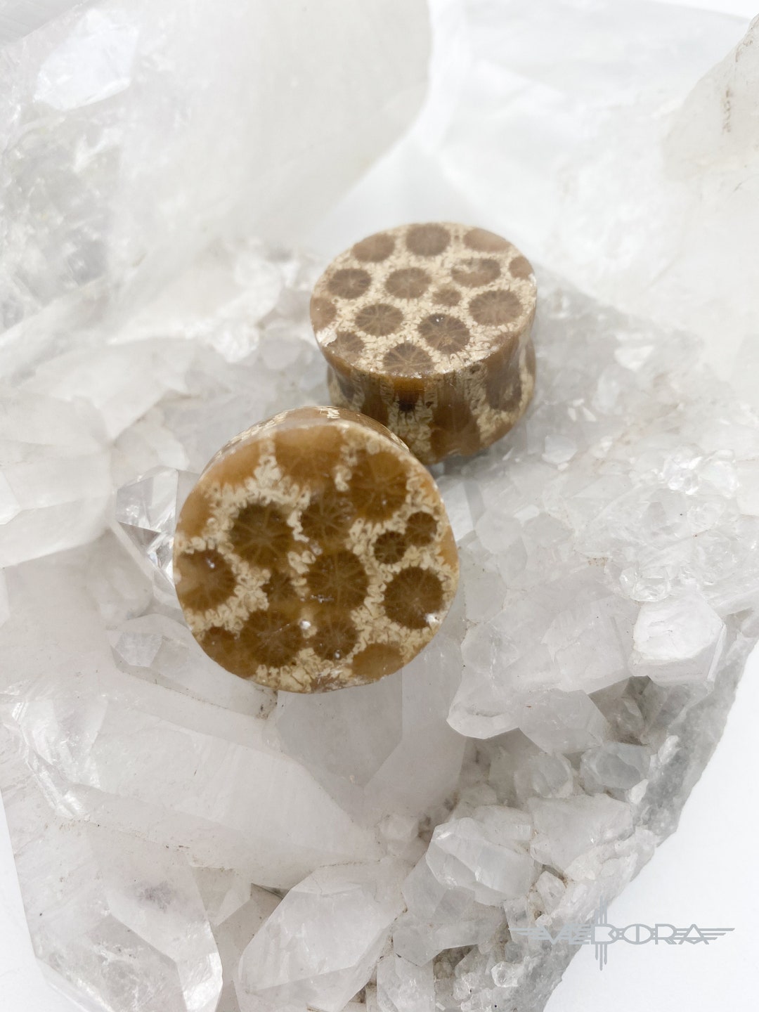 1 Pair of Coral Fossil Rock Plug Earrings, 25 Mm 1 Inch Gauge Plug ...