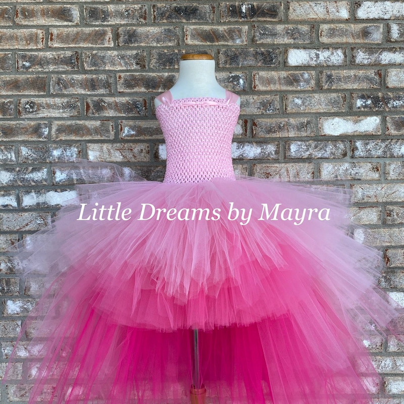 Buy Tutu Dress for Adults Online In India - Etsy India