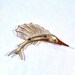 Vintage Lucite Fish Brooch, 1940s Molded Marlin Sailfish Novelty Pin ...