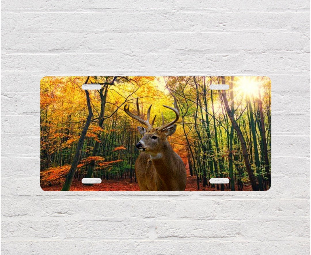 Deer in Fall Aluminum Front License Plate - Etsy