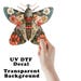 Flower Folk Art Moth UV DTF Transparent Decal / Sticker You Choose Size ...