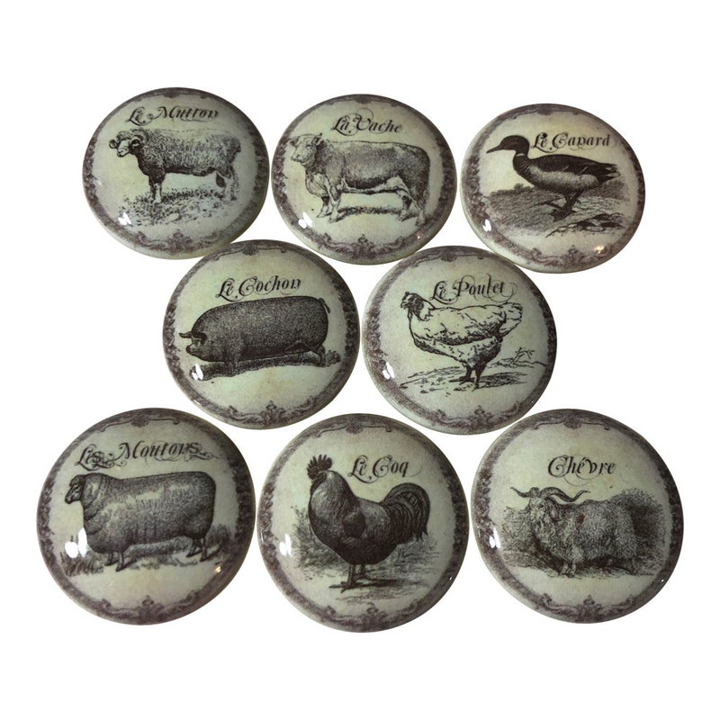 Animal Knobs - Etsy