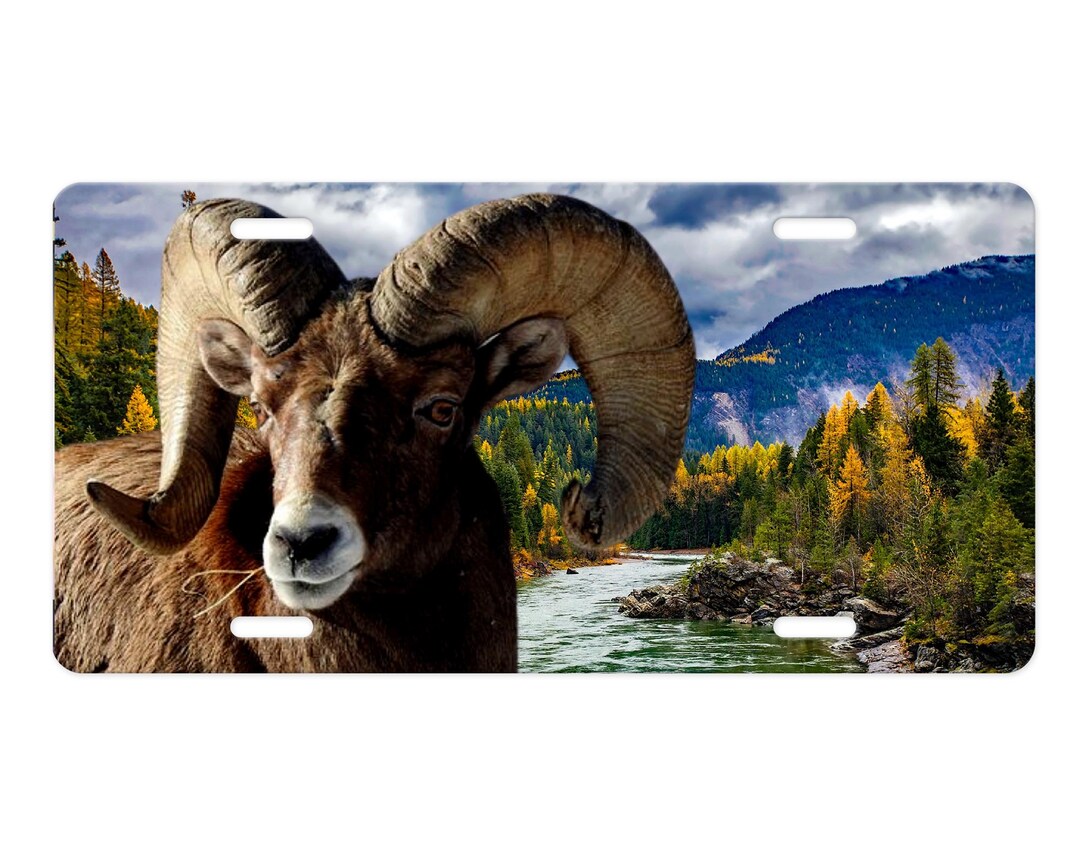 Ram Wildlife Aluminum Front License Plate Vanity Plate - Etsy