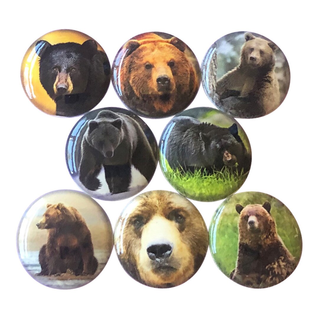 Set of 8 Bear in Nature Wood Cabinet Knobs Kitchen Cabinet Nursery ...