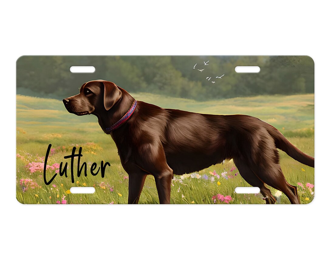 Personalized Chocolate Labrador Vanity Decorative Front License Plate ...