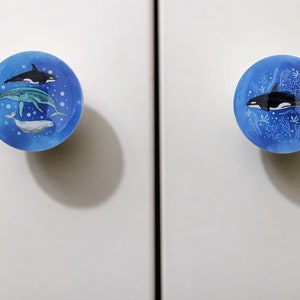 Set of 6 Whales on Blue Print Cabinet Knobs - Etsy