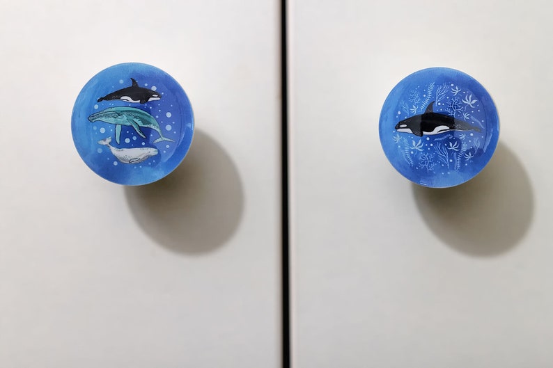 Set of 6 Whales on Blue Print Cabinet Knobs - Etsy