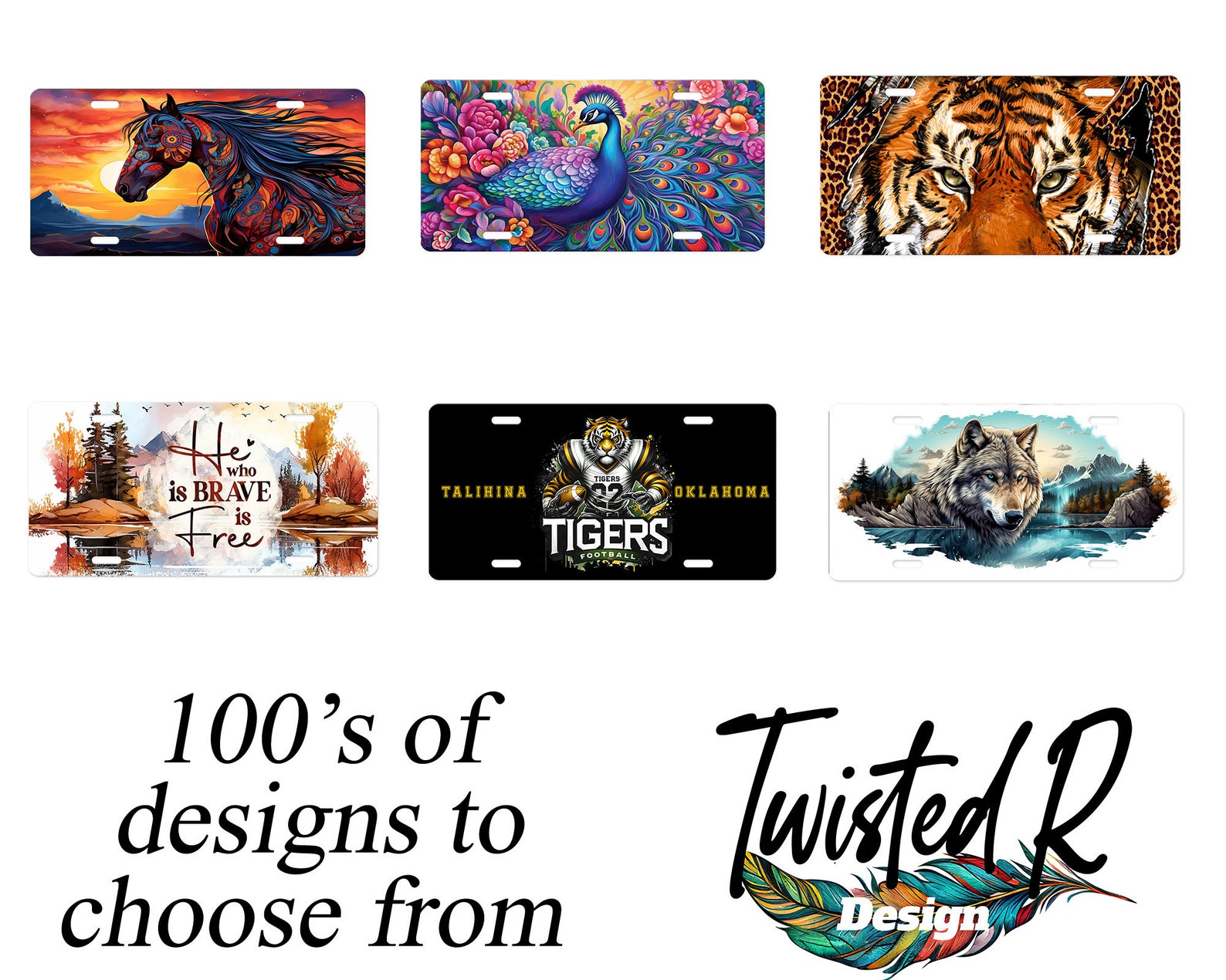 Neon Dragon Vanity Decorative Front License Plate Cute Car License ...