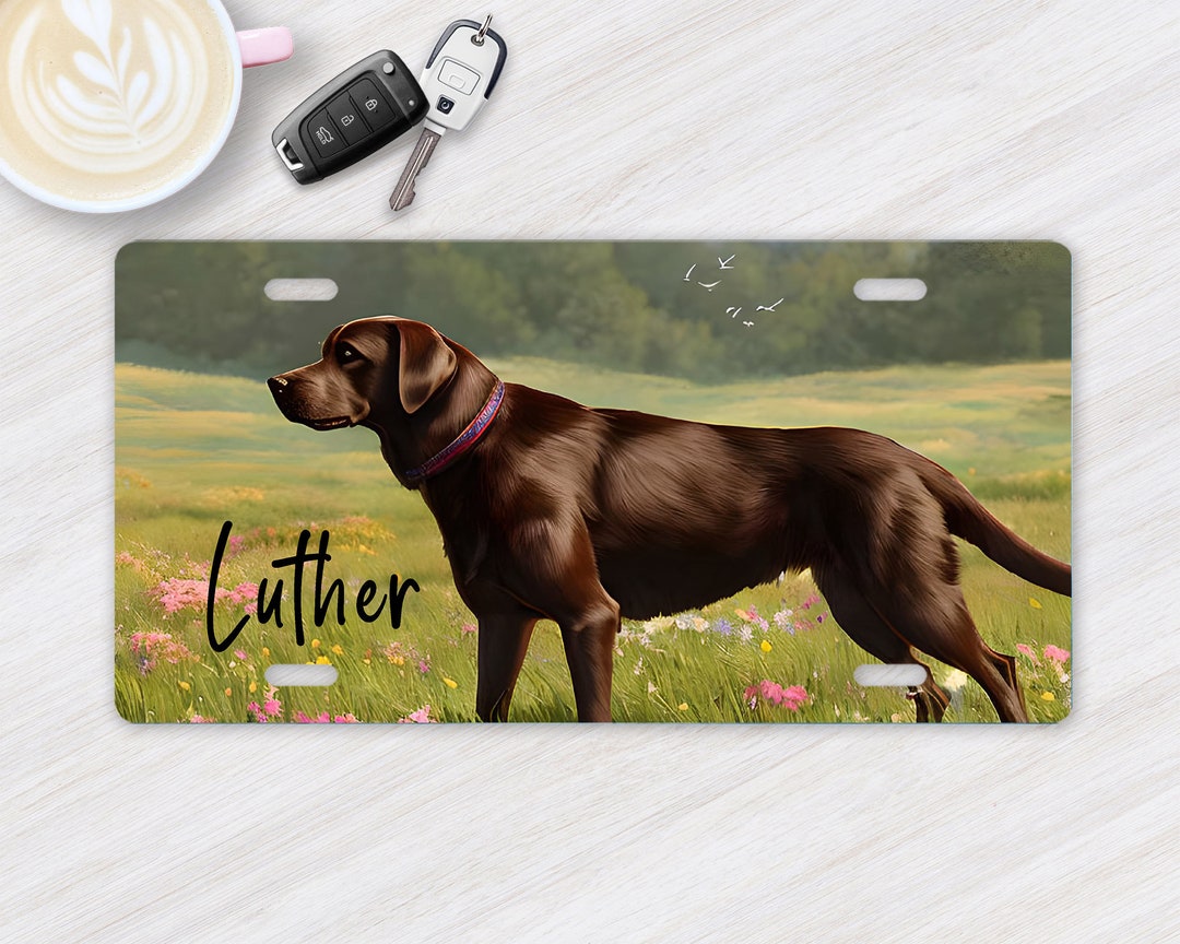 New Release Personalized Chocolate Labrador Vanity Decorative Front ...
