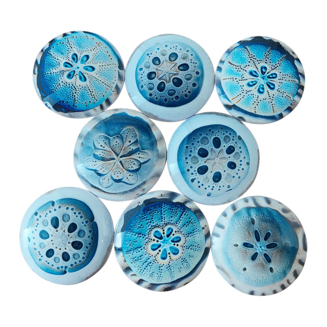 Blue Sand Dollars Cabinet and Drawer Knobs, Set of 8 Coastal Watercolor Drawer Knobs and Pulls ...