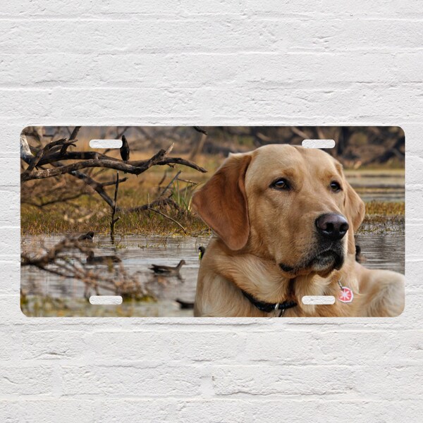 Labrador Retriever License Plate - Etsy