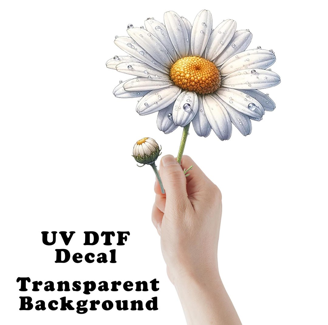 Dew Drop Daisy UV DTF Transparent Decal / Sticker You Choose Size - Etsy