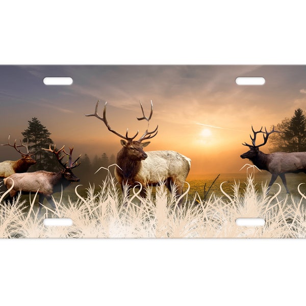 Front License Plate - Etsy