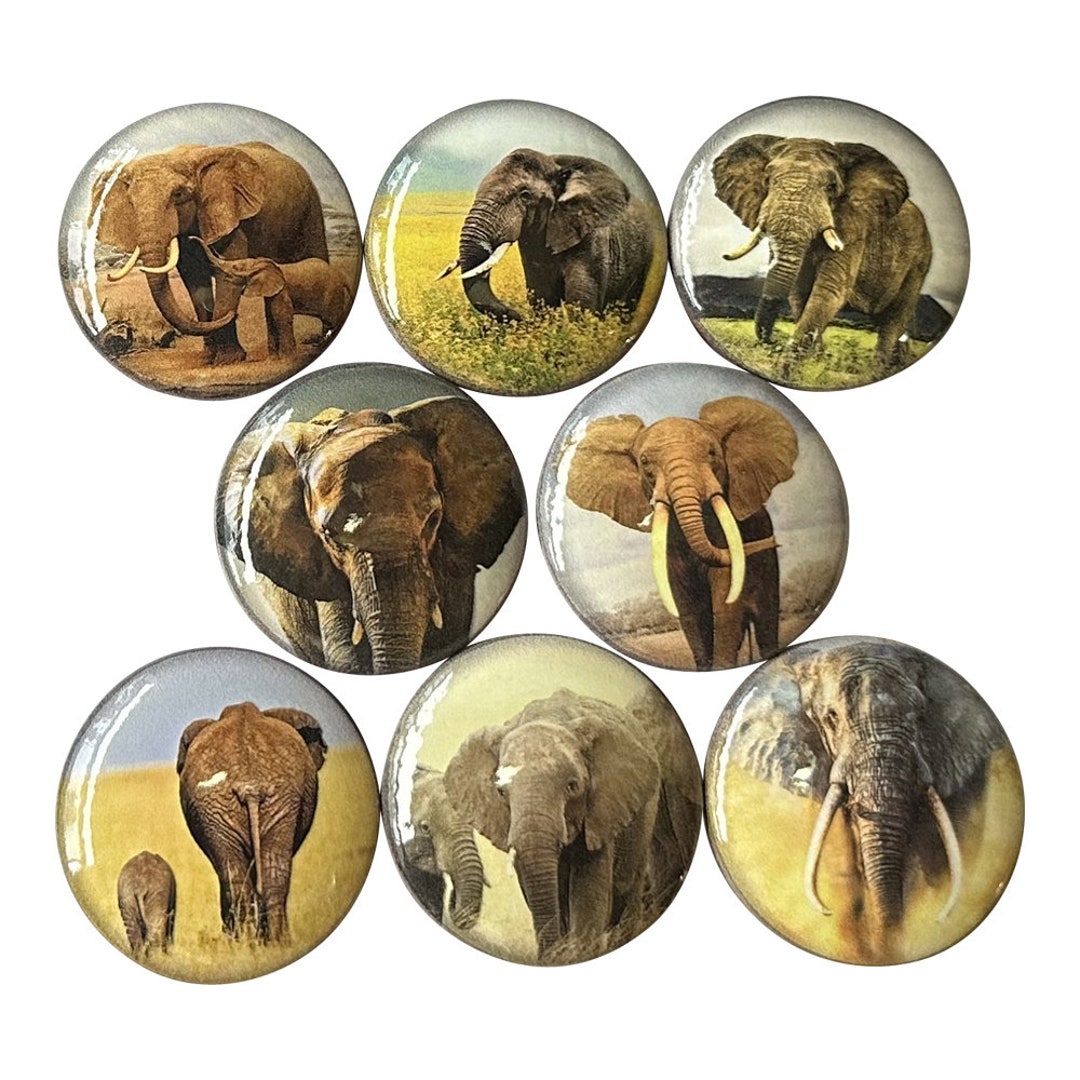 Set of 8 Elephants in Nature Print Wood Cabinet Knobs, Kitchen Knobs, Draw Knobs, Drawer Pulls ...