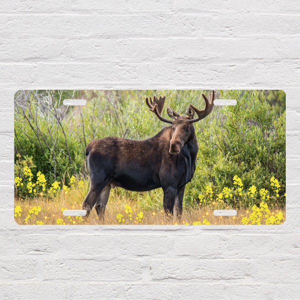 Front License Plate - Etsy